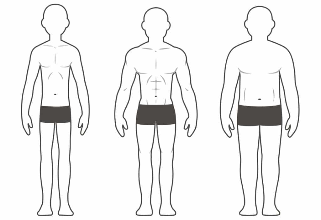 Korean Acupuncture and Metal Body Type - Your Health Magazine