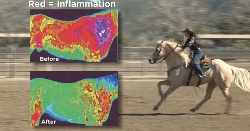 The Simple Healing Benefits Of Light Via Phototherapy For The Body ...