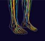 The Importance of Podiatric Health: Understanding Vascular and ...