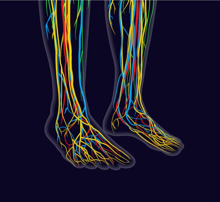 The Importance of Podiatric Health: Understanding Vascular and ...