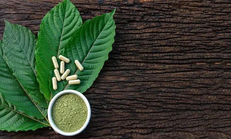 Kratom and Energy Drinks. What You Should Know - Your Health Magazine
