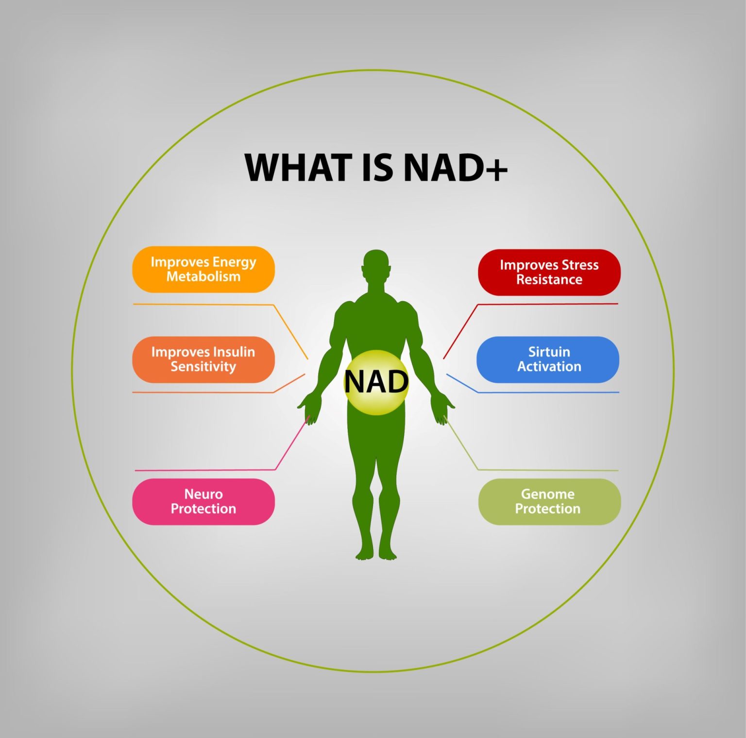 What Is NAD Infusion: A Guide to Its Benefits and Applications - Your ...
