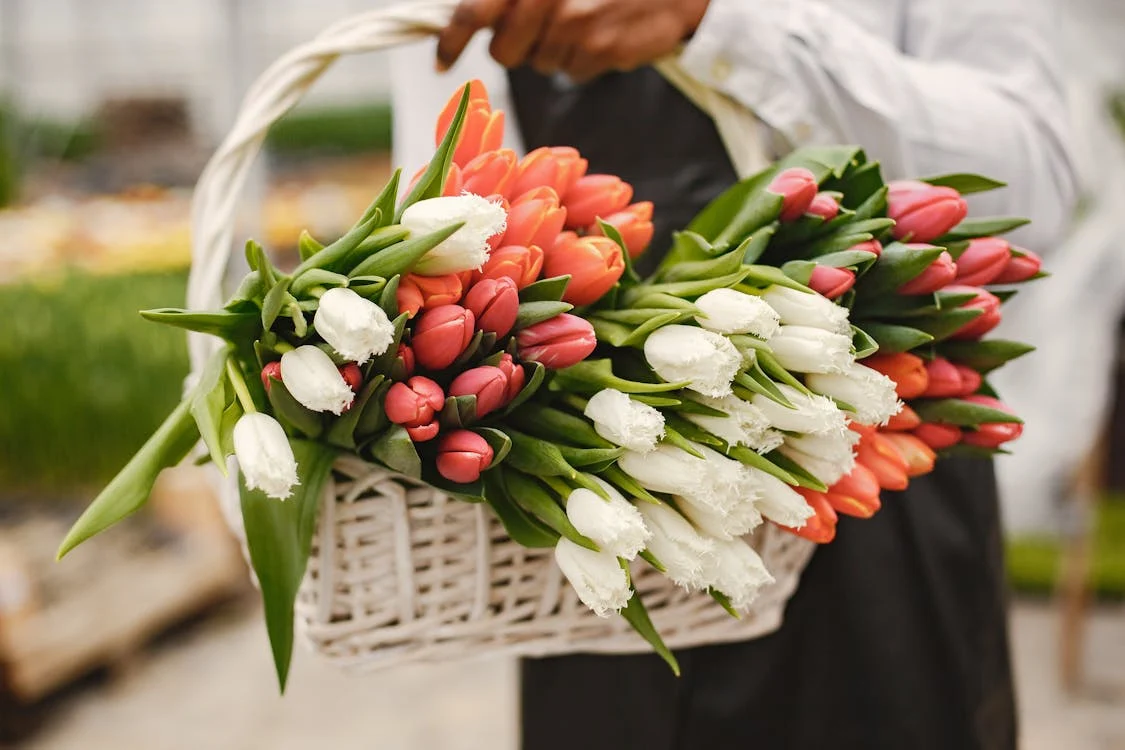The Healing Power of Nature: How Flowers Reduce Stress and Anxiety ...