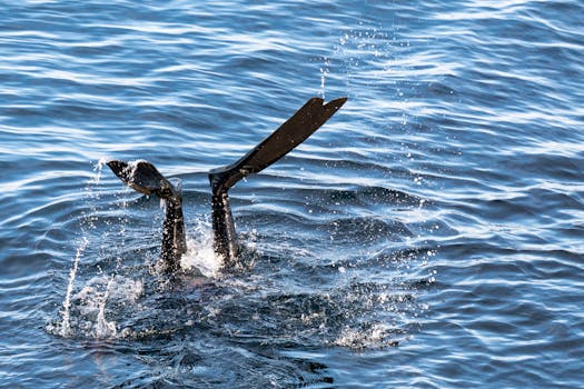 Managing Swollen Legs After a C-Section: Tips for New Moms - Your ...