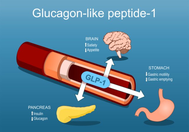 What is the Difference Between GLP-1, GLP-2, and GLP-3? - Your Health ...