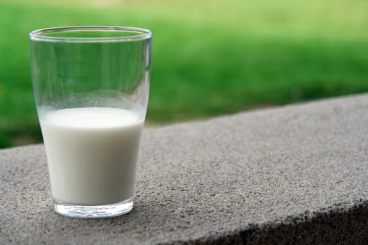 Delicious Ways to Boost Your Calcium Intake with Chews - Your Health ...