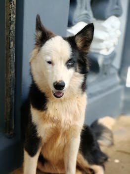 Is Your Tongue Telling You Something? Discover the Causes of Coated ...