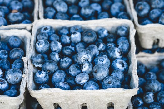 Are Frozen Blueberries Good for Your Health? Discover Their Benefits ...