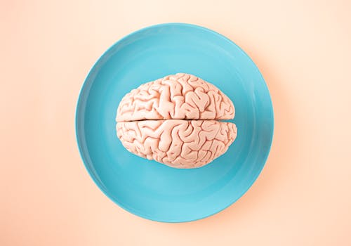 Exploring Wet Brain: Causes, Symptoms, and Treatment Options - Your ...