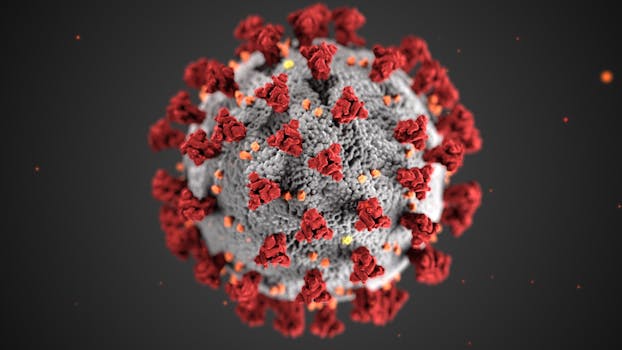 Recognizing the Warning Signs of Hantavirus in Adults - Your Health ...