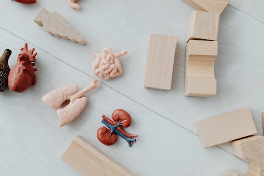 Oliguria vs Anuria: Key Differences and Implications for Kidney Health ...