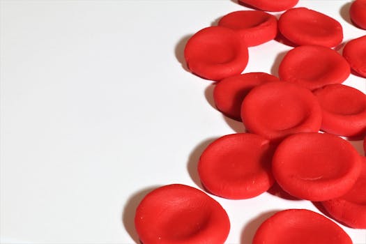 The Lifespan of Red Blood Cells: How Long Do They Last? - Your Health ...